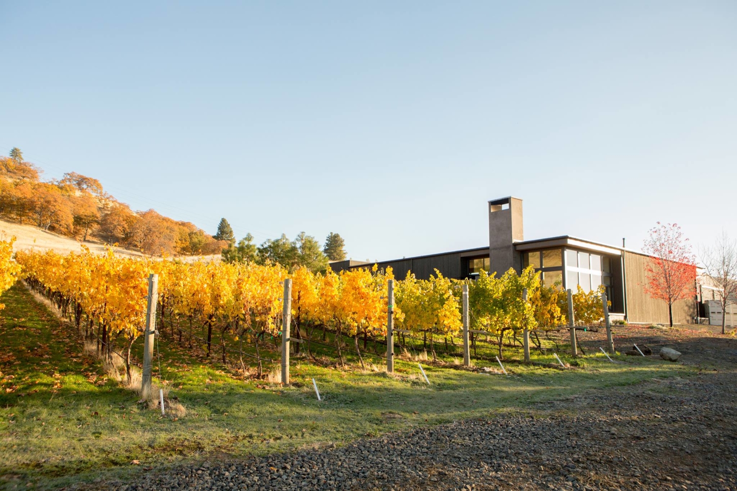 Columbia Gorge AVA Wineries Near White Salmon Washington - White Salmon ...